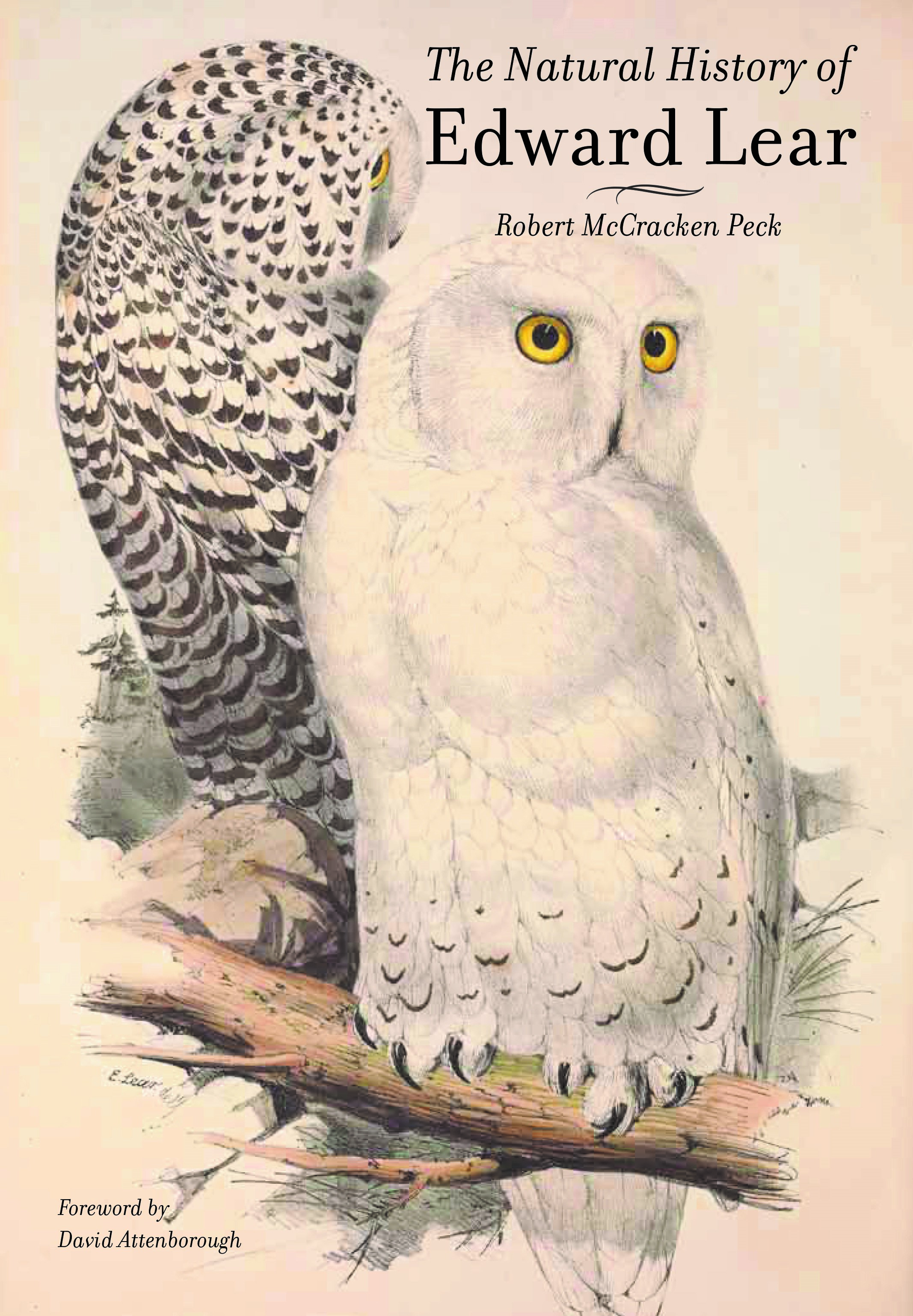 “The Natural History of Edward Lear” by Robert McCracken Peck – The ...